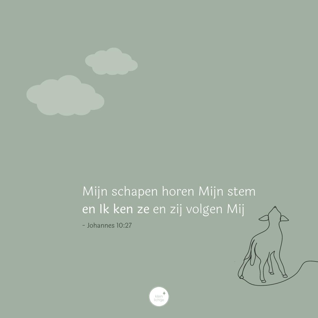 𝑴𝒊𝒋𝒏 𝒔𝒄𝒉𝒂𝒑𝒆𝒏 𝒉𝒐𝒓𝒆𝒏 𝑴𝒊𝒋𝒏 𝒔𝒕𝒆𝒎 - Kleinlichtje.nl