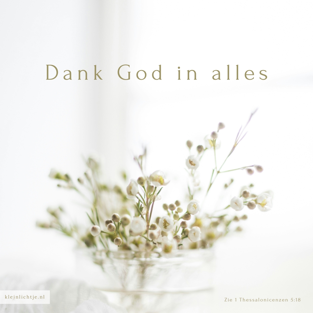 𝑫𝒂𝒏𝒌 𝑮𝒐𝒅 - Kleinlichtje.nl