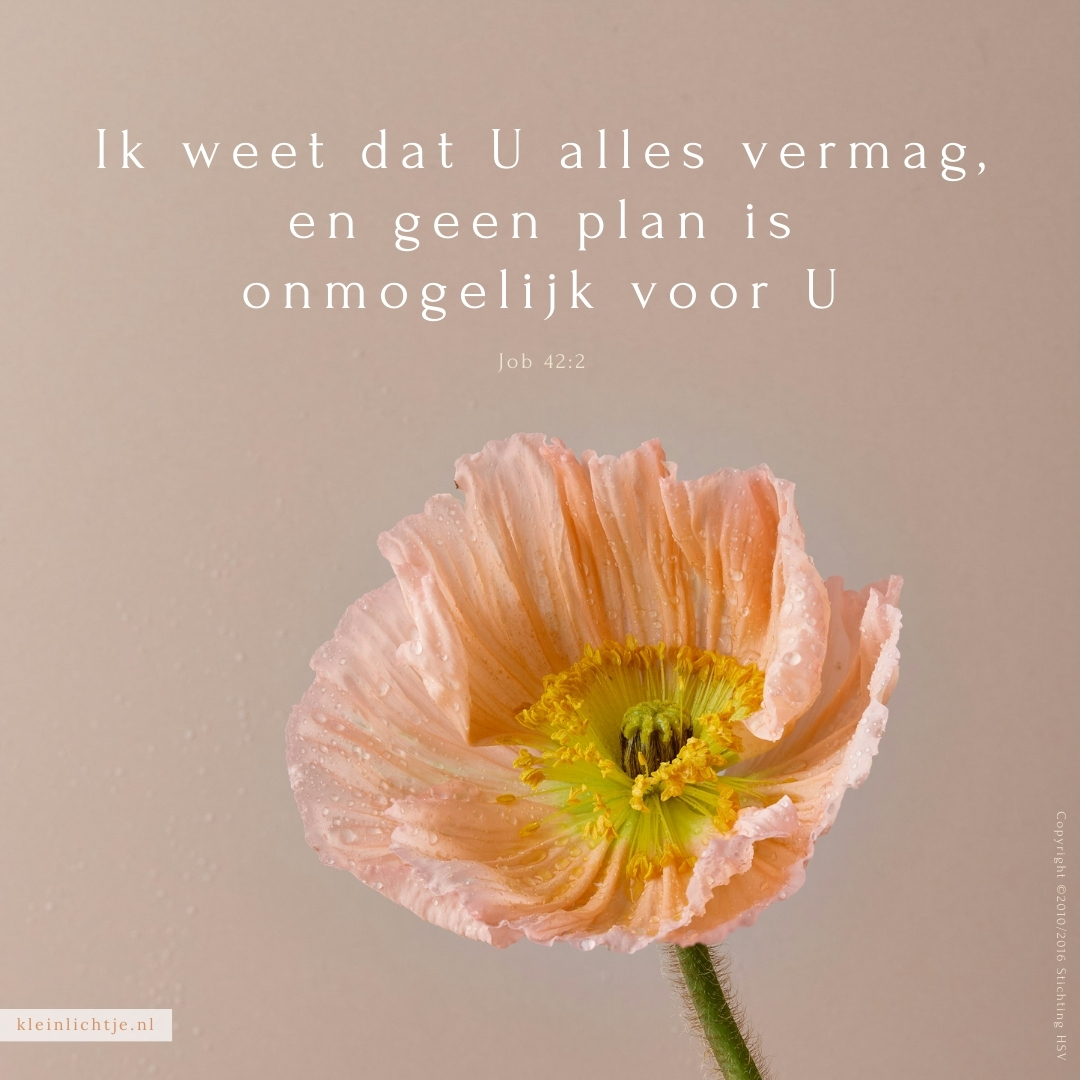 𝑰𝒌 𝒘𝒆𝒆𝒕 𝒅𝒂𝒕 𝑼 - Kleinlichtje.nl