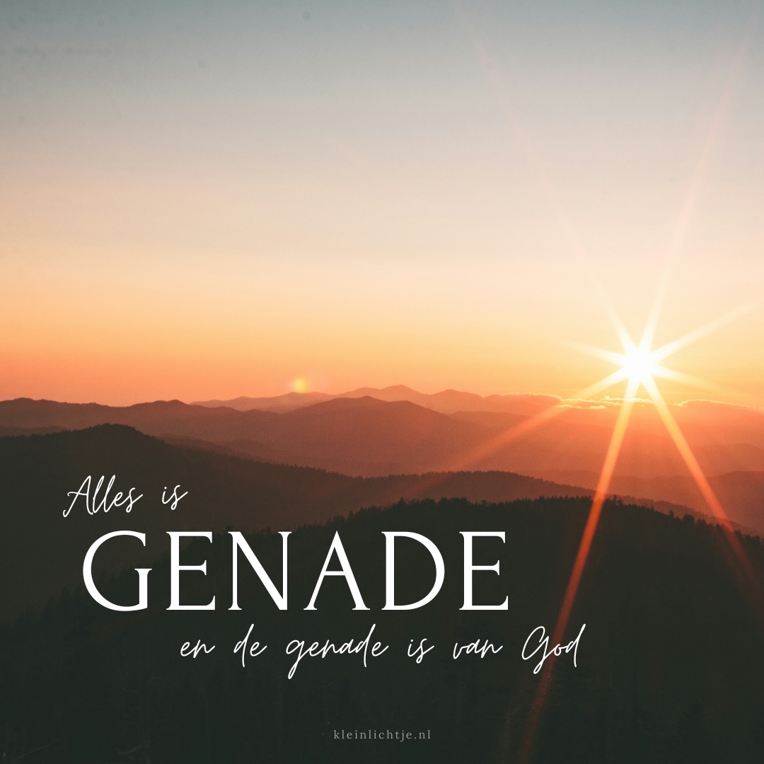 𝑨𝒍𝒍𝒆𝒔 𝒊𝒔 𝒈𝒆𝒏𝒂𝒅𝒆 - Kleinlichtje.nl