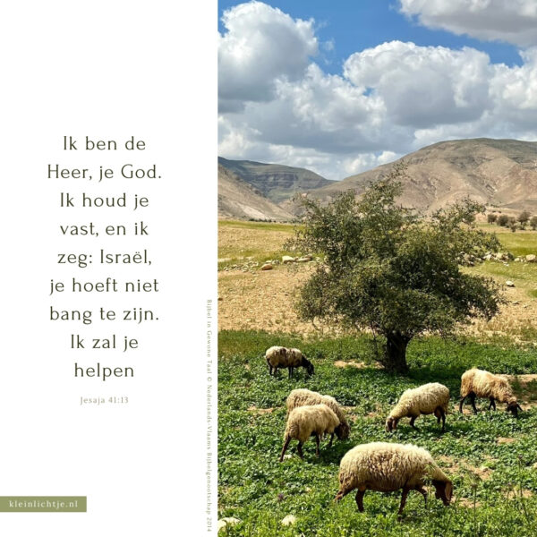 𝑮𝒐𝒅 𝒉𝒆𝒍𝒑𝒕 𝒉𝒆𝒕 𝒌𝒍𝒆𝒊𝒏𝒆 𝒗𝒐𝒍𝒌 𝒗𝒂𝒏 𝑰𝒔𝒓𝒂𝒆̈𝒍 - Kleinlichtje.nl