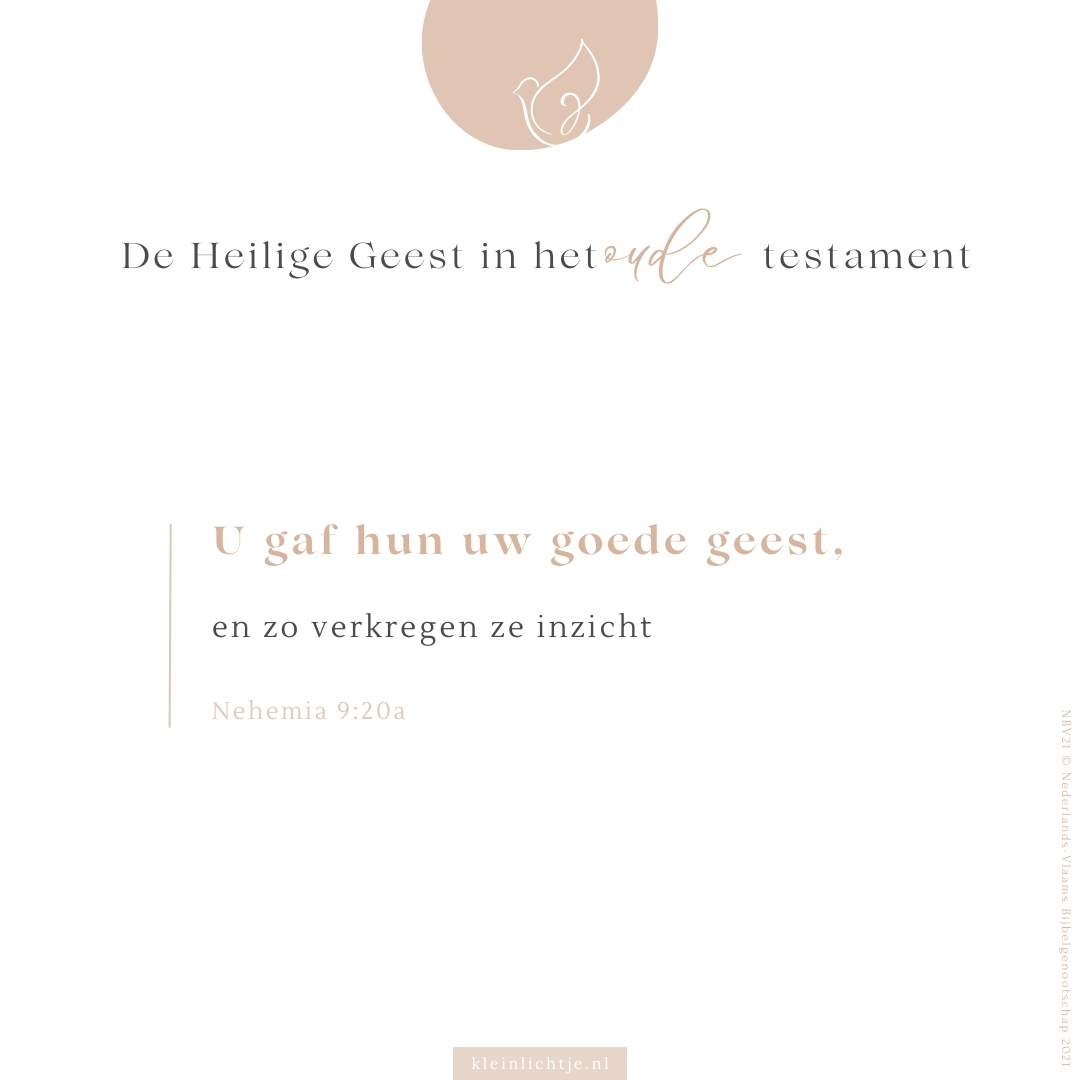 𝑶𝒑 𝒘𝒆𝒈 𝒏𝒂𝒂𝒓 𝑷𝒊𝒏𝒌𝒔𝒕𝒆𝒓𝒆𝒏 𝟏𝟔 - Kleinlichtje.nl