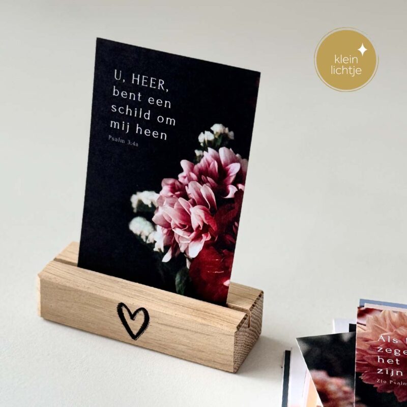 Mini Lichtjes 𝑷𝒔𝒂𝒍𝒎𝒆𝒏 set - Kleinlichtje.nl