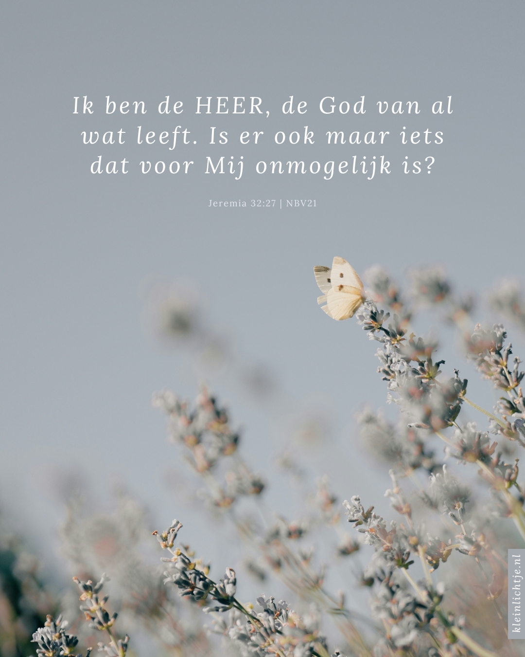 𝑰𝒌 𝒃𝒆𝒏 𝒅𝒆 𝑯𝑬𝑬𝑹 - Kleinlichtje.nl